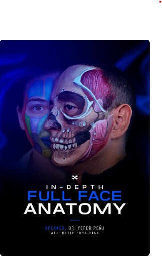 In-depth full face anatomy by Skinxpreneur